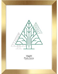 Nástěnný rámeček ve zlaté barvě Styler Floryda, 18 x 24 cm