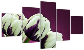 Obraz tulipánů  (125x70 cm)