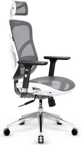 Ergonomická kancelářská židle ze síťoviny, bílý-šedý: Diablo V-Basic