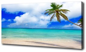 Wallmuralia Foto obraz na plátně Karigská pláž 100x50