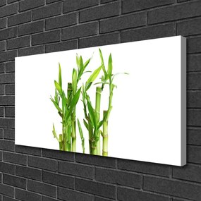 Obraz na plátně Bambus Stonek Květ Rostlina 125x50 cm