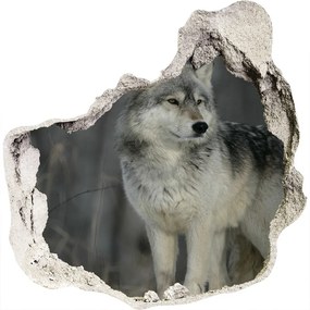 Wallmuralia Díra 3D fototapeta na stěnu Šedý vlk 75x75 cm