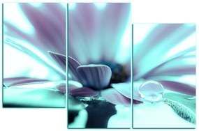 Obraz na plátně - Kapka rosy na lupenech květu 180FC (135x90 cm)