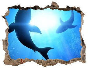 Wallmuralia Díra 3D fototapeta nálepka Dva žraloci 95x64 cm