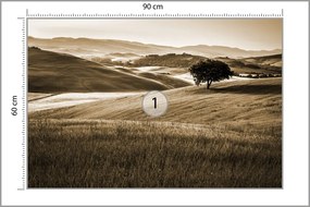 Fototapeta Rolling Hills V Sepia Strukturální vinyl 405x270