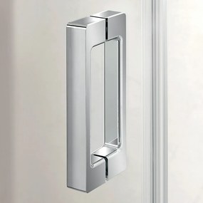 Roth Cariba Line sprchové dveře do niky 100 x 202 cm jednokřídlé brillant transparent CI PIV 100200 VPE Koupelny Bernold