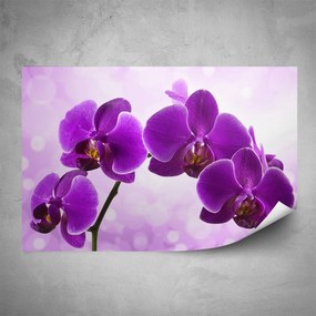 Plakát - Fialová orchidej (60x40 cm) - PopyDesign
