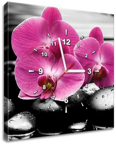 Gario Obraz s hodinami Krásná orchidej mezi kameny Rozměry: 30 x 30 cm
