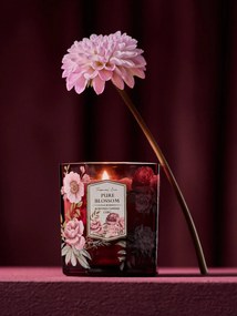Sinsay - Vonná svíčka Pure Blossom - světle fialová
