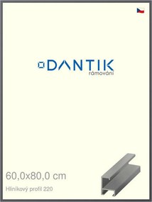 DANTIK rámeček 60x80 | ALU profil 6220 Ocelová (Plexi Čiré)