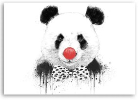 Gario Obraz na plátně Panda s klaunským nosem - Rykker Rozměry: 60 x 40 cm