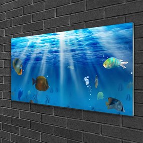 Obraz na skle Ryba Příroda 120x60 cm