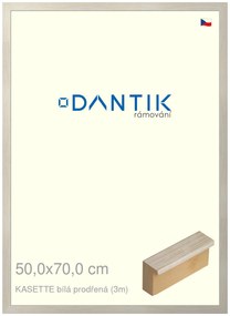 DANTIK rámeček 50x70 | KASSETTE bílá prodřená (Plexi Čiré)