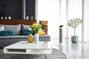 Rowenta 3v1 Silent Comfort HQ 8120 stříbrná / Teplovzdušný ventilátor