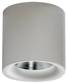 LED bodové světlo Mane 30W Dimm bílé