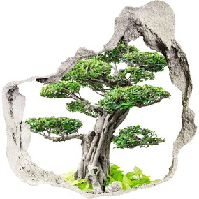 Wallmuralia Samolepící díra na stěnu Strom bonsaj 75x75 cm