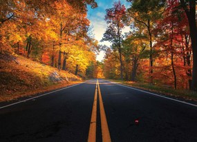 Malvis ® Tapeta Cesta v lese na podzim Vel. (šířka x výška): 504 x 310 cm