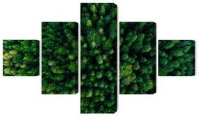 Vícedílný obraz Letecký Pohled Na Zelený Les Nedostatek Nedostatek Přírodní plátno 200x120