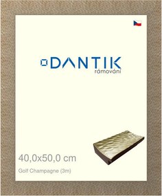 DANTIK rámeček 40x50 | Golf champagne (Sklo Čiré)