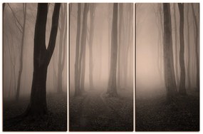Obraz na plátně - Mlha v lese 1182FB (135x90 cm)
