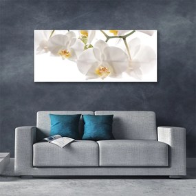 Plexisklo-obraz Orchidej Květiny Příroda 125x50 cm