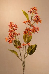 Paramit DRY VIBURNUM TINUS Aranžovací květina oranžová 58 cm