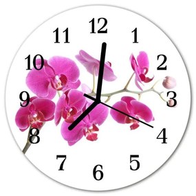 Nástěnné hodiny obrazové na skle - Orchidej růžová