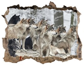 Wallmuralia Díra 3D fototapeta nástěnná Nálepka vlci zimou 95x64 cm