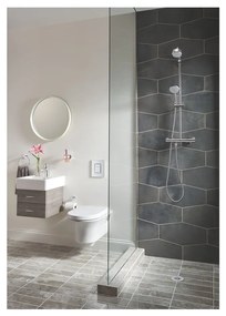 Grohe Essentials - Držák toaletního papíru, chrom 40689001