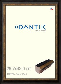DANTIK rámeček 29,7x42 | TRITON černá (Plexi Čiré)