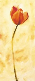 Červený tulipán - 20 x 50 cm