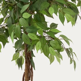 OnaDnes -20% Umělá květina Kave Home Ficus 180 cm