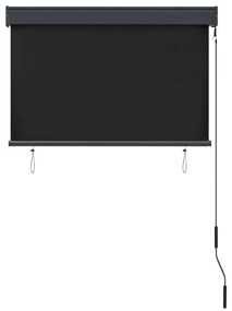 vidaXL Marketos Venkovní roleta 100 x 250 cm antracitová