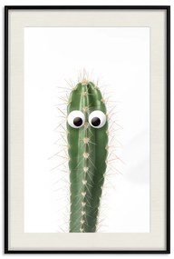 Plakát Živý kaktus