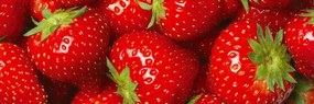 Fototapeta na linku Strawberry 180 x 60 cm KI180-025