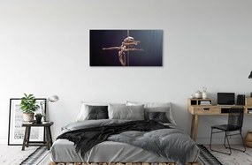 Obrazy na plátně Tanec trubka žena 140x70 cm