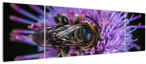 Obraz včely na květině (170x50 cm)
