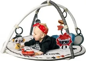 Tiny Love Hrací deka s hrazdou Gymini Tiny Rockers / od narození