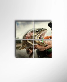 Malvis ® Obraz Rybář s krásným duhákem ROZMĚR (šířka x výška): čtyřdílný čtverec 80x80 cm
