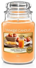 Aromatická svíčka, Yankee Candle Farm Fresh Peach, hoření až 150 hod