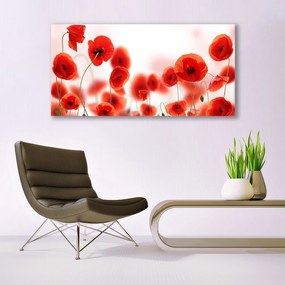akrylový obraz Máky Rostlina Příroda 120x60 cm
