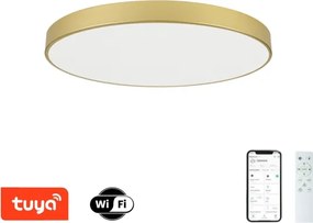 Brilagi - LED Stmív. svítidlo POOL SMART LED/100W/230V 80 cm zlatá Wi-Fi Tuya+DO