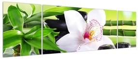 Obraz orchideje (170x50 cm)