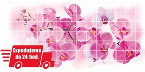GRACE obkladový 3D PVC panel -  ružová Orchidej 480 x 955 mm