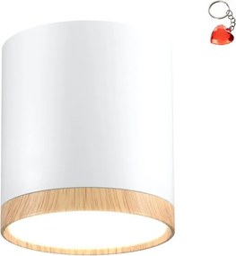 Led spotové nástěnné svítidlo 5W Tuba 2273624 Candellux