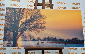 Obraz koně v zasněžené krajině - 120x60 cm