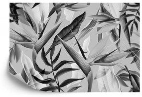 Fototapeta Tropicalia Black &amp;amp; White Omyvatelný vlies 270x180