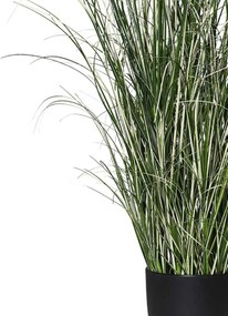 Umělá tráva v černém květináči GREVY, výška 85 cm, plast, zelená