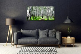 Obraz na skle Stromy Tráva Příroda 125x50 cm