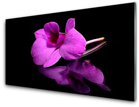 Plexisklo-obraz Květiny Mtvá Příroda 120x60 cm